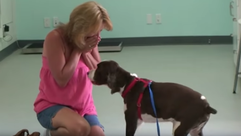 Un chien qui n’était plus censé marcher fait pleurer sa mère quand elle ...